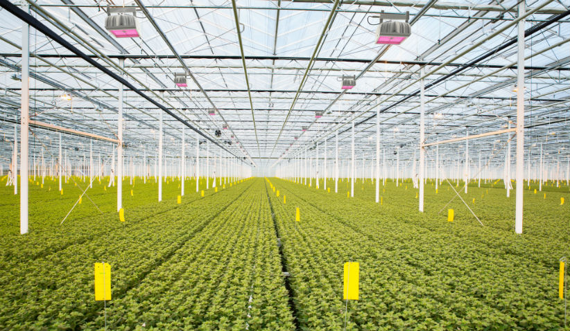 Hyperion by Midstream Lighting wins LED Lighting Product of the Year at ...